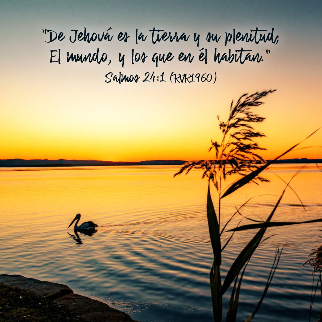 Recursos RZ | Recursos Para Ministerios y Iglesias